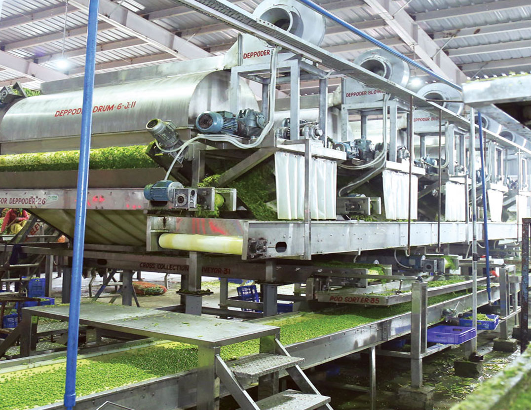 Overview – Himgiri Group